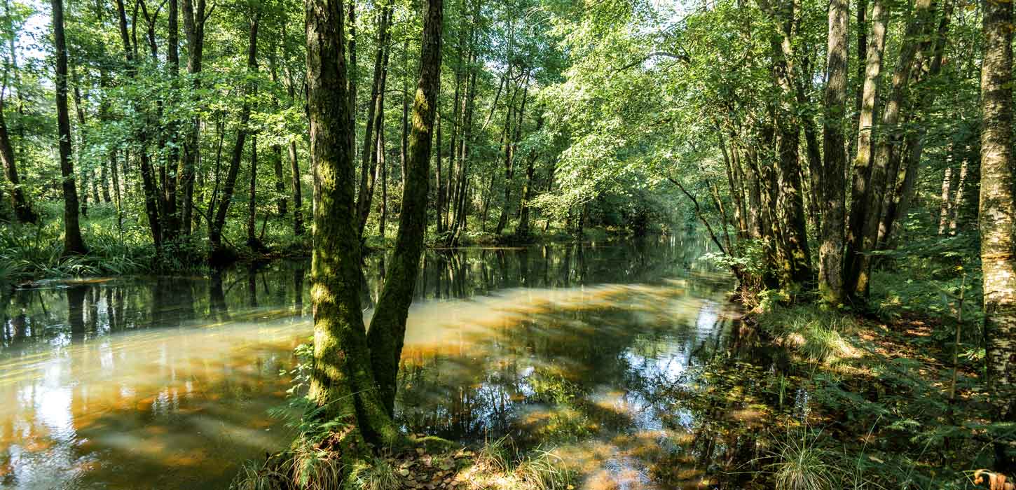 Skøn natur | VisitHerning