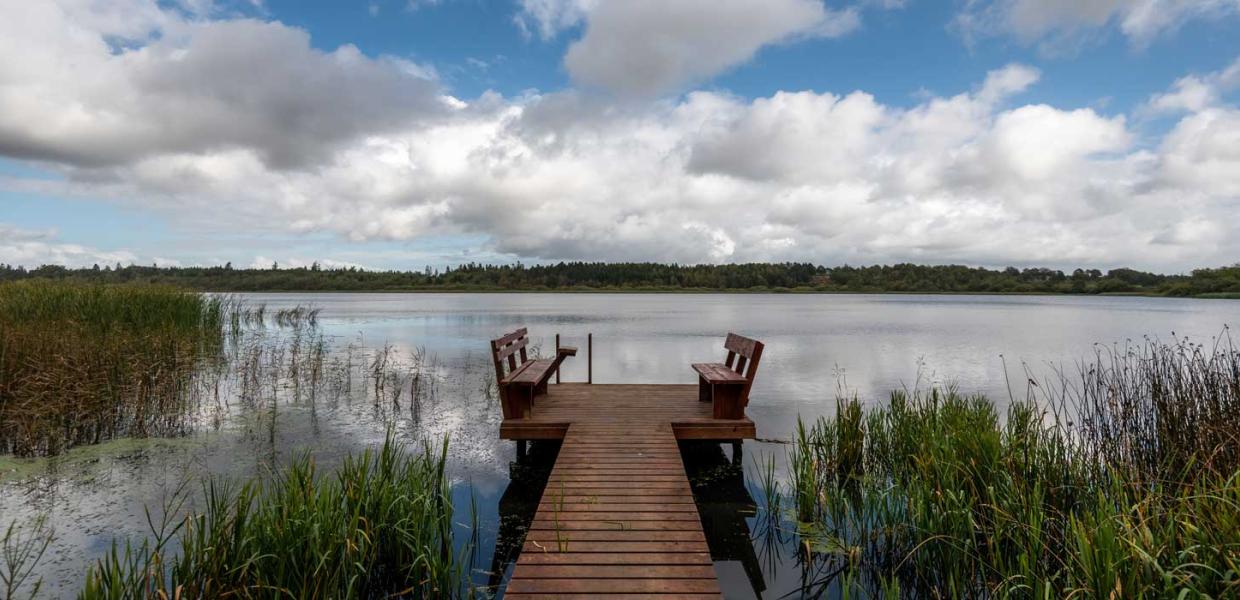 Lystfiskeri i Herning og Ikast-Brande | Kort over fiskeri | VisitHerning